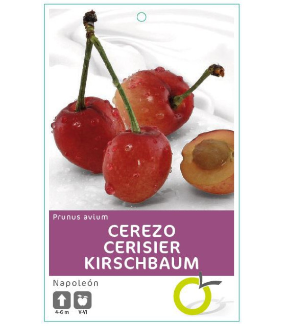 Cerezos