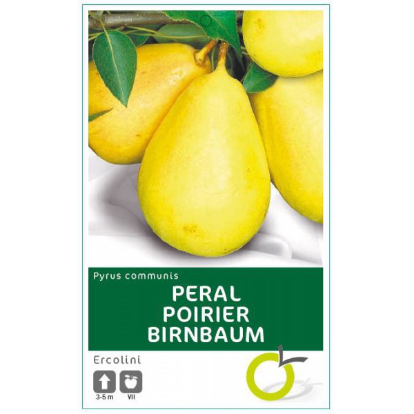Otros frutales PERAL ERCOLINI | Mundo Verde/Garden Center
