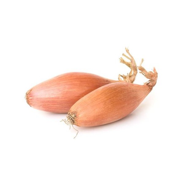 Plantas para la huerta CHALOTA PACK 50 | Mundo Verde/Garden Center