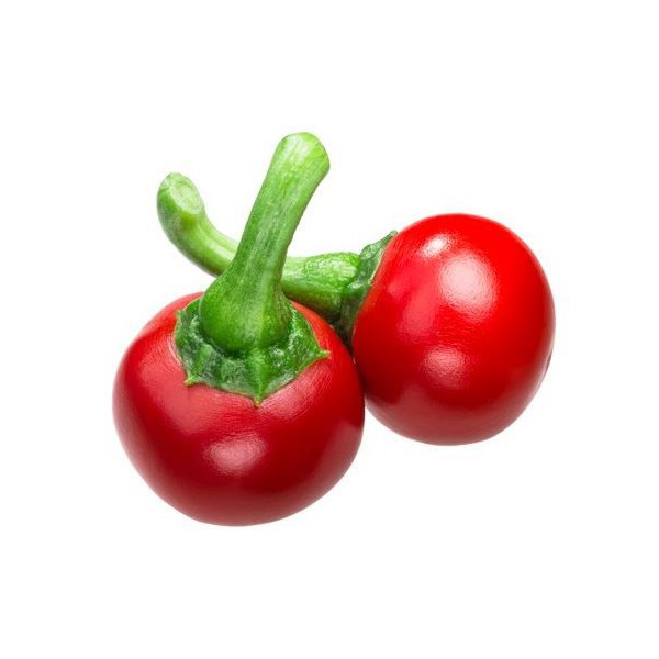 Primavera Verano PIMIENTO PICANTE CHERRY HOT | Mundo Verde/Garden Center