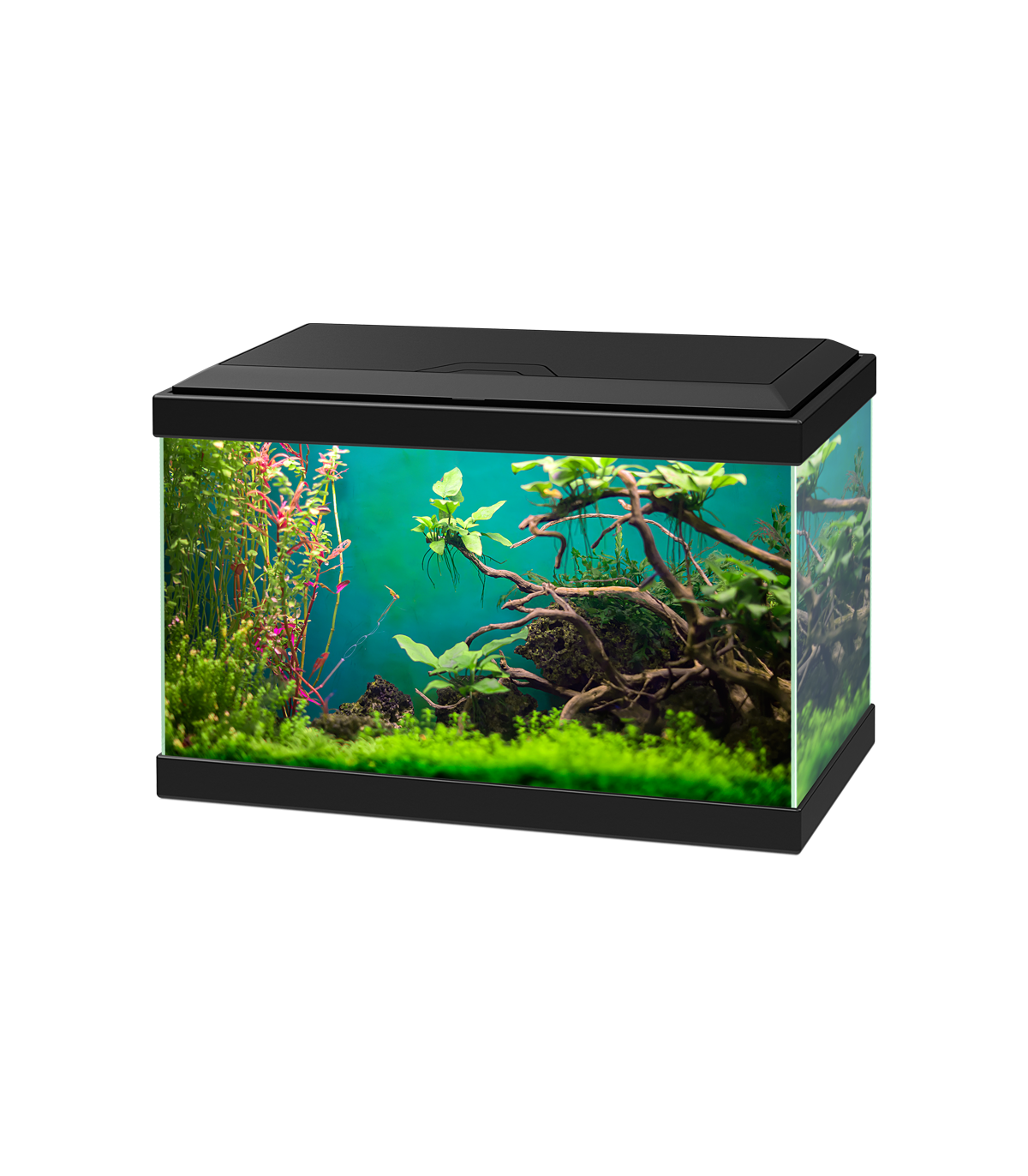 Acuarios Medianos 60 - 100 lts. ACUARIO AQUA 60 LED NEGRO | Mundo Verde ...
